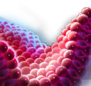 Elastic Membrane - Material - Corepunk